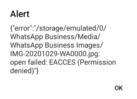 Android API Permission Denied Or Couldn T Get File Path For Photo Issue