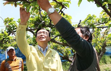 나주시 냉해피해 재난지원금 57억원7000만원 확정 추석 전 지급 Cnbc News