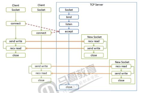 TCP编程与Socket socketflags none CSDN博客