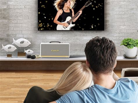 C C Ti U Ch Ch N Mua Loa Karaoke X Ch Tay Cho Gia Nh