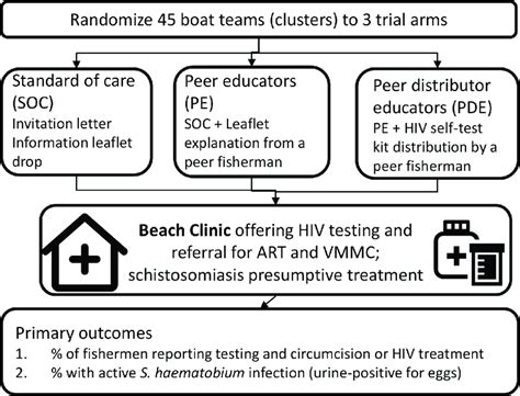 Trial Schema 101371journalpone0262237g002