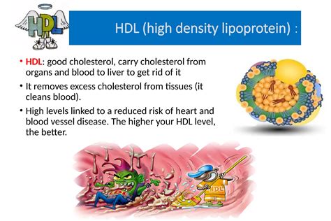 Triglyceride Estimation In Serum Enzymatic Method Ppt