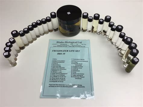 Unlocking Discovery Your Guide To Freshwater Life Sets And Algae Science
