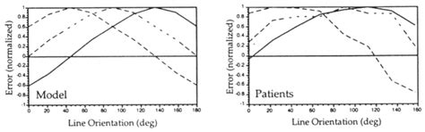 Simulation Of A Line Bisection Experiment Panel A The Network Download Scientific Diagram