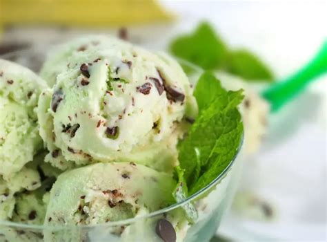 30 Best Cuisinart Ice Cream Maker Recipes Simple And Delicious Tasty