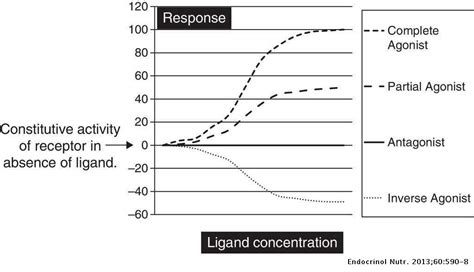 Targeting Thyroid Diseases With Tsh Receptor Analogs Endocrinología Y