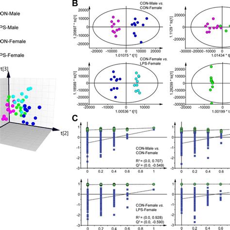 Metabolomics Analysis Of The Hypothalamus From Male And Female Mice