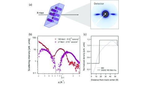 A Schematic Of The Saxs Measurement Geometry And Saxs Detector Image Download Scientific