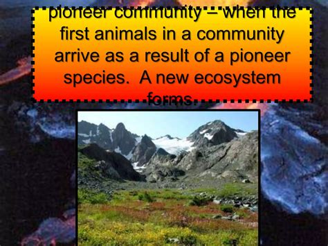 Chapter Lesson How Ecosystems Change PPTX