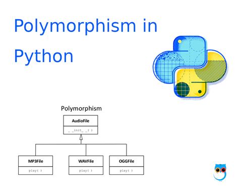 Geekboots On Twitter Polymorphism In Python Python Polymorphism