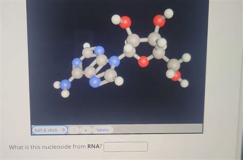 Solved What Is This Nucleoside From Rna