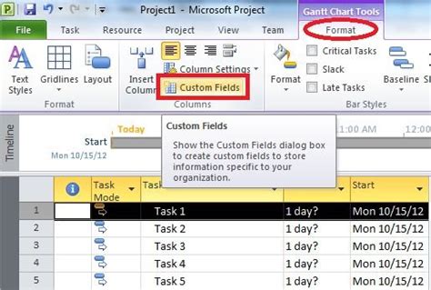 creating a custom field containing a lookup table in project 2010