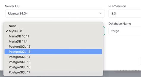 postgresql in laravel what you need to know