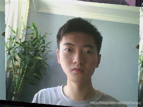 记录四图像处理之瘦脸 Mls算法 C实现瘦脸算法 Cpp Csdn博客