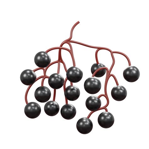 3d Icon Rendering Elder Berry 22992097 Png