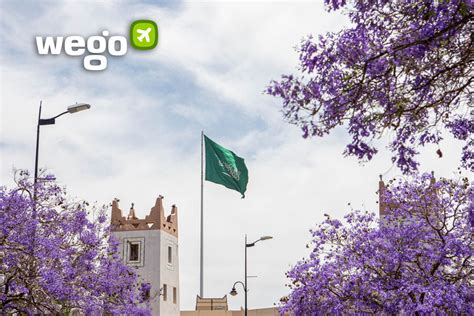 اجمل 5 اماكن سياحية في ابها البهية تجمع جمال الطبيعة والمعالم التاريخية