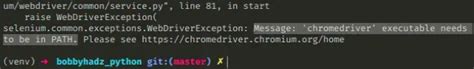 Chromedriver Executable The Importance Of Placing It In The Path