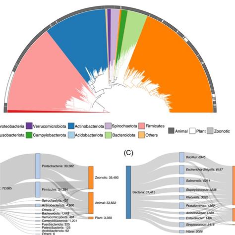 Pdf Mbpd A Multiple Bacterial Pathogen Detection Pipeline For One