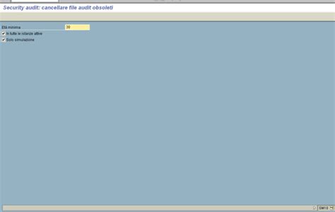 Sap Security Audit Log