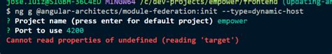 issues while generating module federation · issue 203 · angular