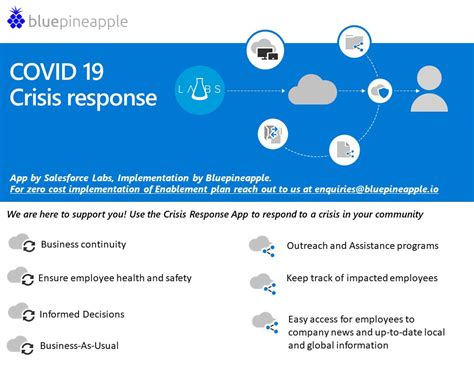 Bluepineapple On Linkedin Salesforce Salesforceohana Salesforcelabs Bluepineapple