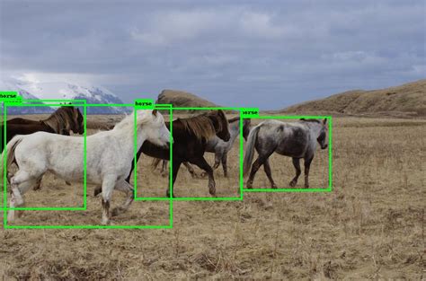 github miladlink yolov3 pytorch yolov3 implementation from scratch