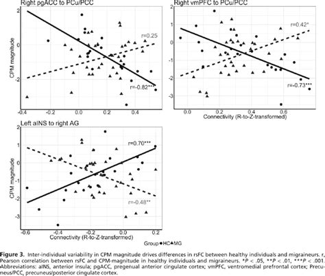Process And Analyze Your Data By Yuvalargaman Fiverr