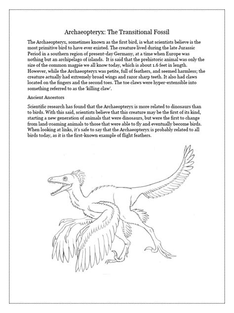 Archaeopteryx The Transitional Fossil Pdf