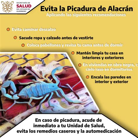 En Caso De Una Picadura De Alacrán Acude De Inmediato A Tu Unidad De