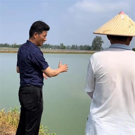 陈春永虾蟹养殖技术分享：高温天气，无害化处理蓝藻的四种方案 知乎