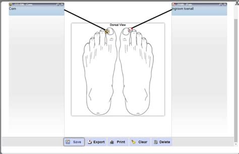 Breaking Down The Top Podiatry Practice Management Software Benchmark
