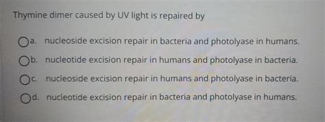 Solved Thymine Dimer Caused By Uv Light Is Repaired By A