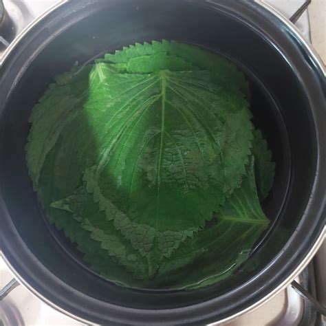 깻잎 쌈밥 만드는 법 돼지고기 오징어 쌈밥