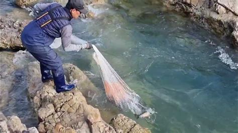 포항 갯바위 투망 Youtube