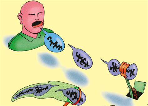 Combating Misinformation On Social Media Web Stat