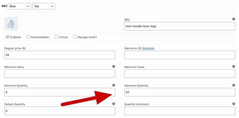 how to set the minimum and or maximum quantity in woocommerce video