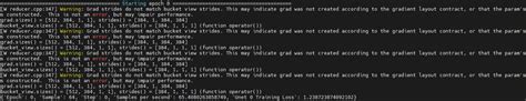 Warning Grad Strides Do Not Match Bucket View Strides This May Indicate Grad Was Not Created