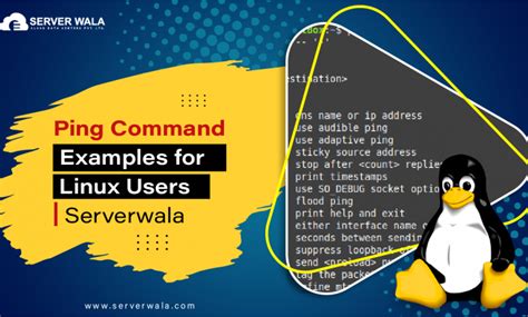 ping command examples for linux users serverwala