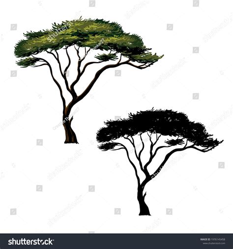 Tree Vector Silhouette Design Tree Silhouette Stock Vector Royalty Free 1976145458 Shutterstock