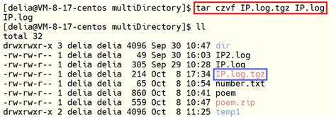 【linux】 入门基础命令 linux基础命令 csdn博客