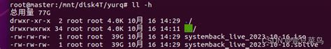 ubuntu 20 04 使用systemback自定义系统镜像和系统备份 ubuntu systemback csdn博客