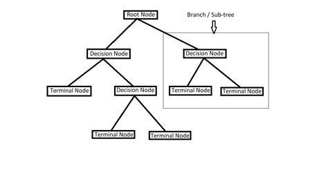 Decision Tree Algorithms