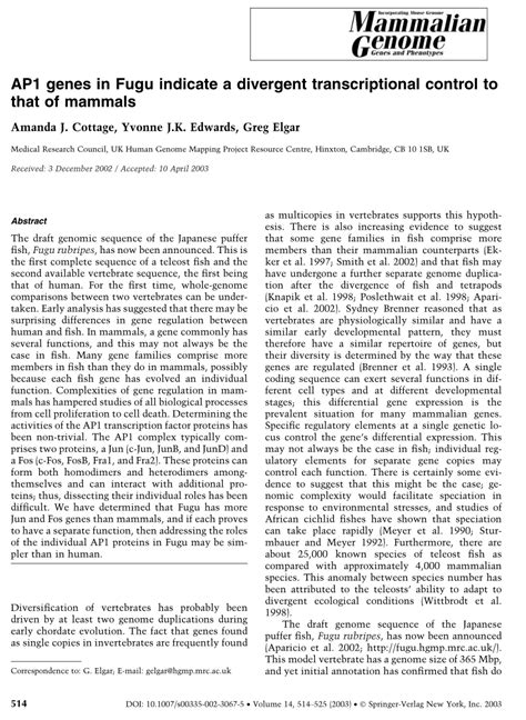 Pdf Ap1 Genes In Fugu Indicate A Divergent Transcriptional Control To