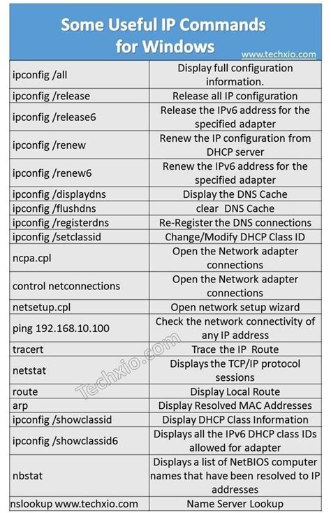 Networking Basics Computer Networking Basics Networking Infographic