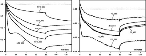 2d Photoinduced Anisotropy Of An Evaporated Dbabno 2 Film Pumped By A