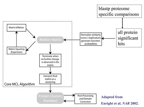 Ppt Markov Cluster Mcl Algorithm Mcl Powerpoint