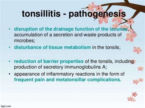 Chronic Tonsillitis Pptx Ear Nose And Throat Conditions Diseases