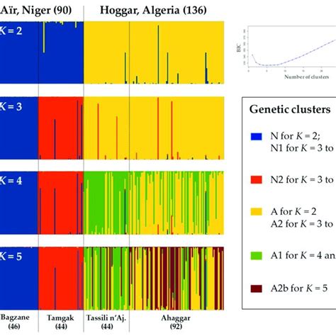 inference of population structure using bayesian simulations with