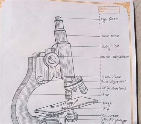Compound Microscope Diagram And Functions Microscope Compoun