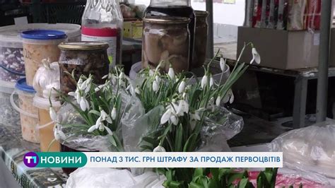 Понад три тисячі гривень штрафу за продаж первоцвітів Youtube